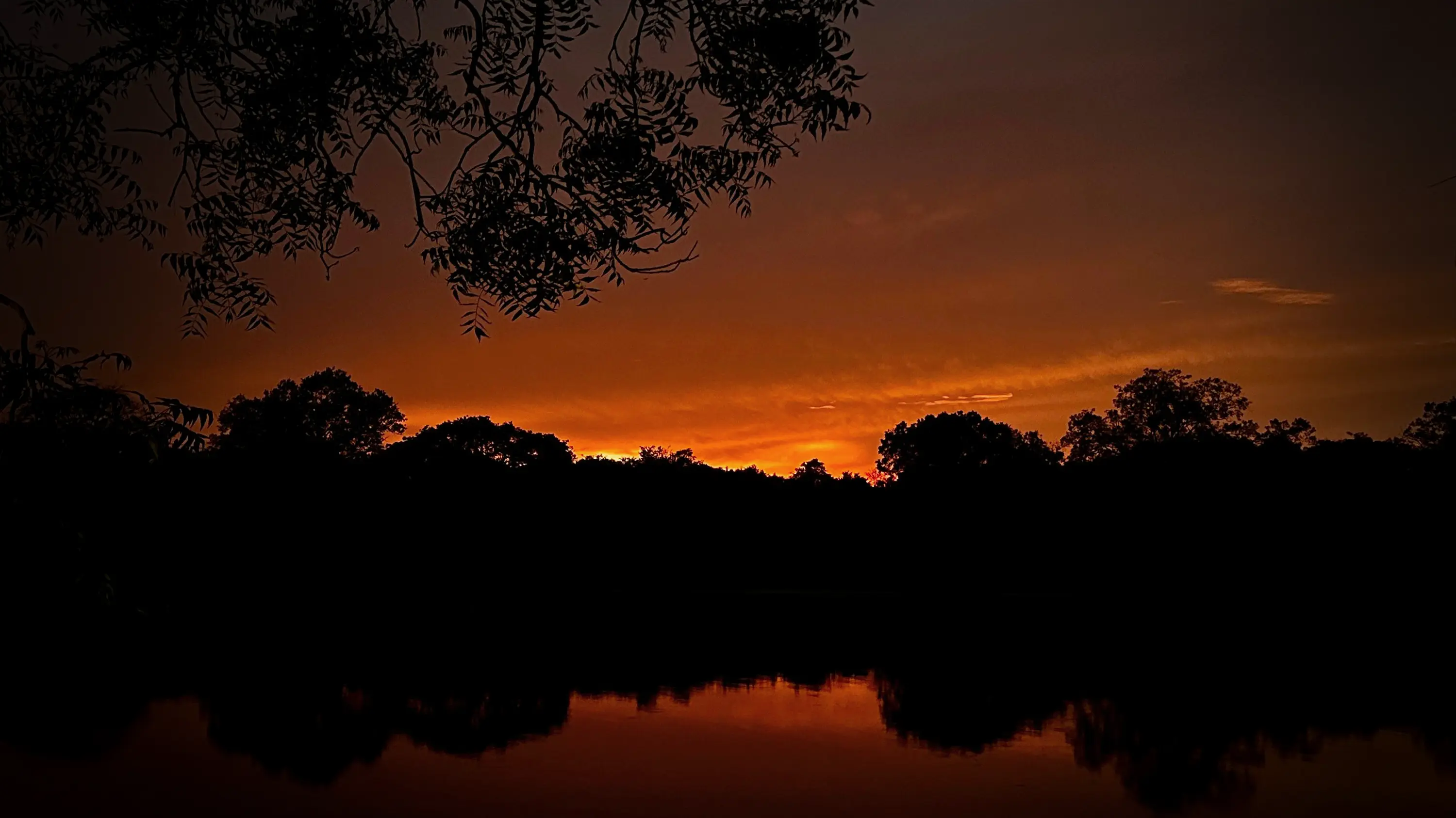 Sound therapy by FORTUDE